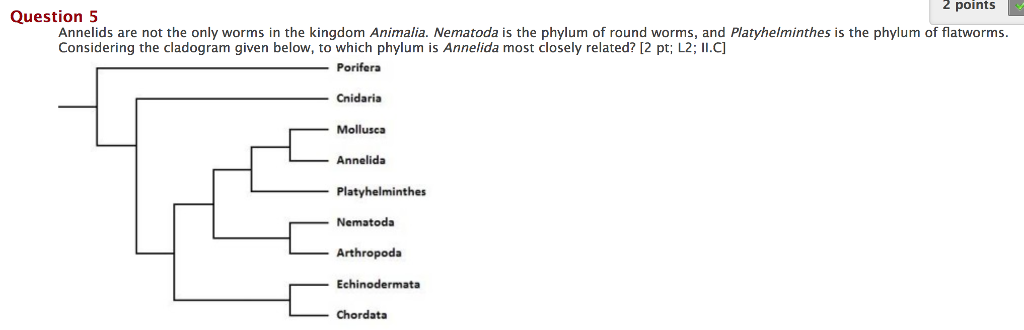 Solved 2 points Question 5 Annelids are not the only worms | Chegg.com
