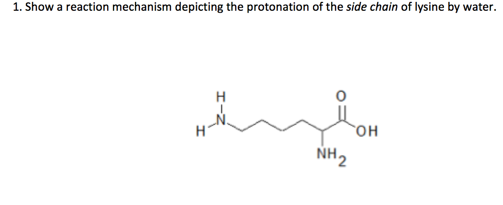 Solved 1. Show a reaction mechanism depicting the | Chegg.com