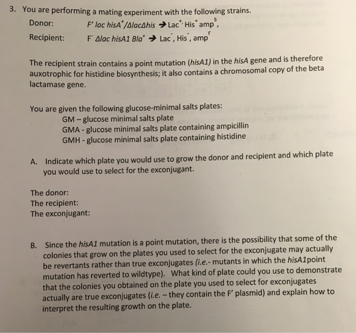 Solved You are performing a mating experiment with the | Chegg.com