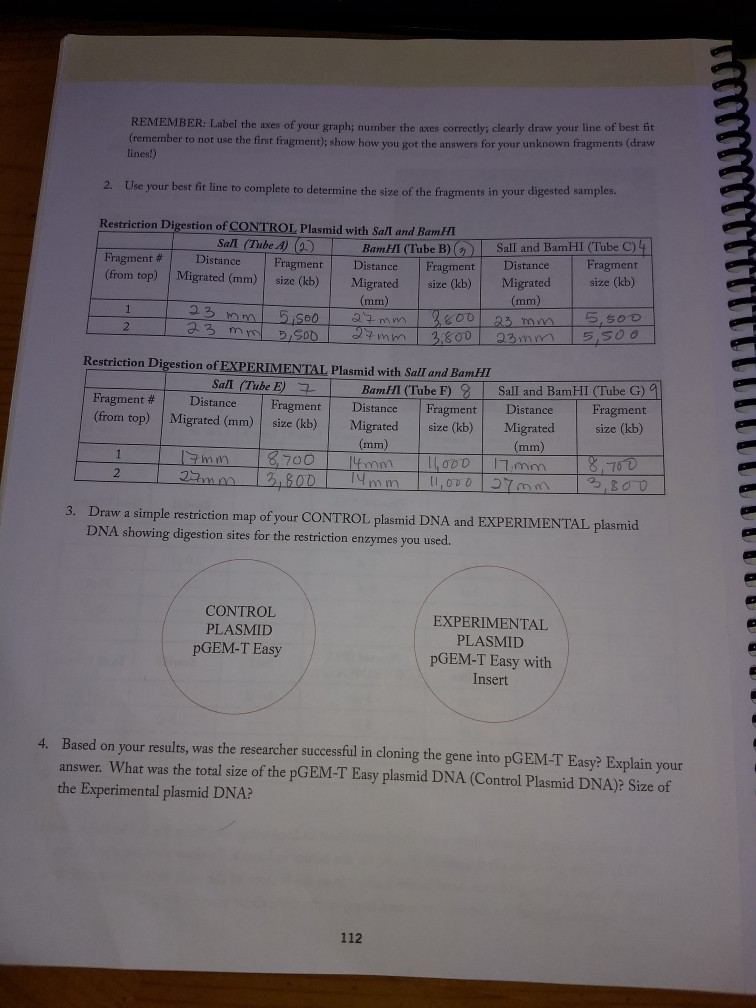 Solved Group No Lab 11 Worksheet-Restriction Digestion of | Chegg.com