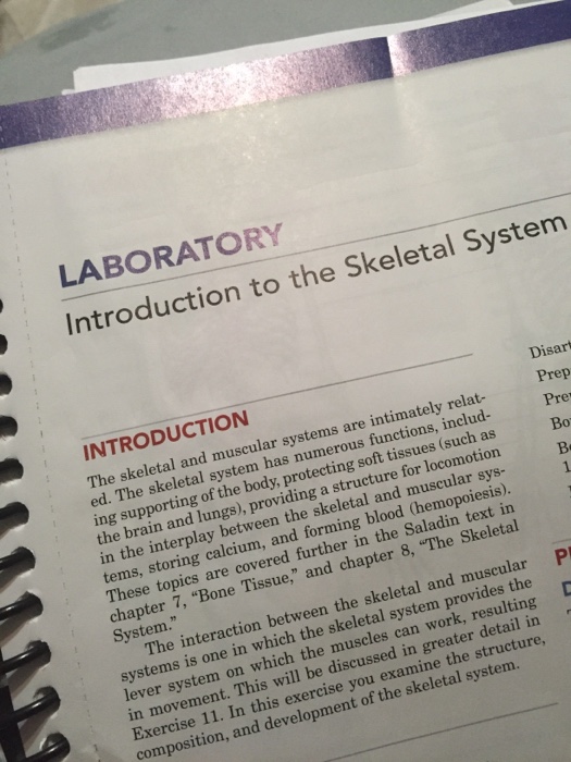 Solved Write a introduction in your own words for a lab | Chegg.com