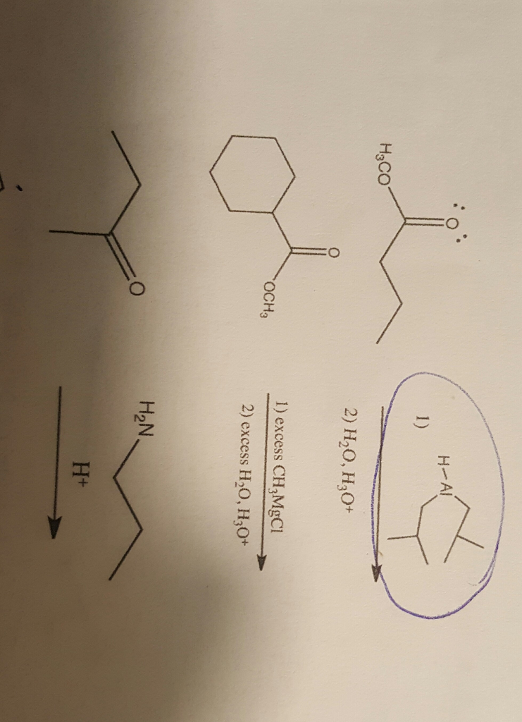 Solved H3CO OCH H Al 2) H20, H30 i) excess CH3MgCl 2) excess | Chegg.com