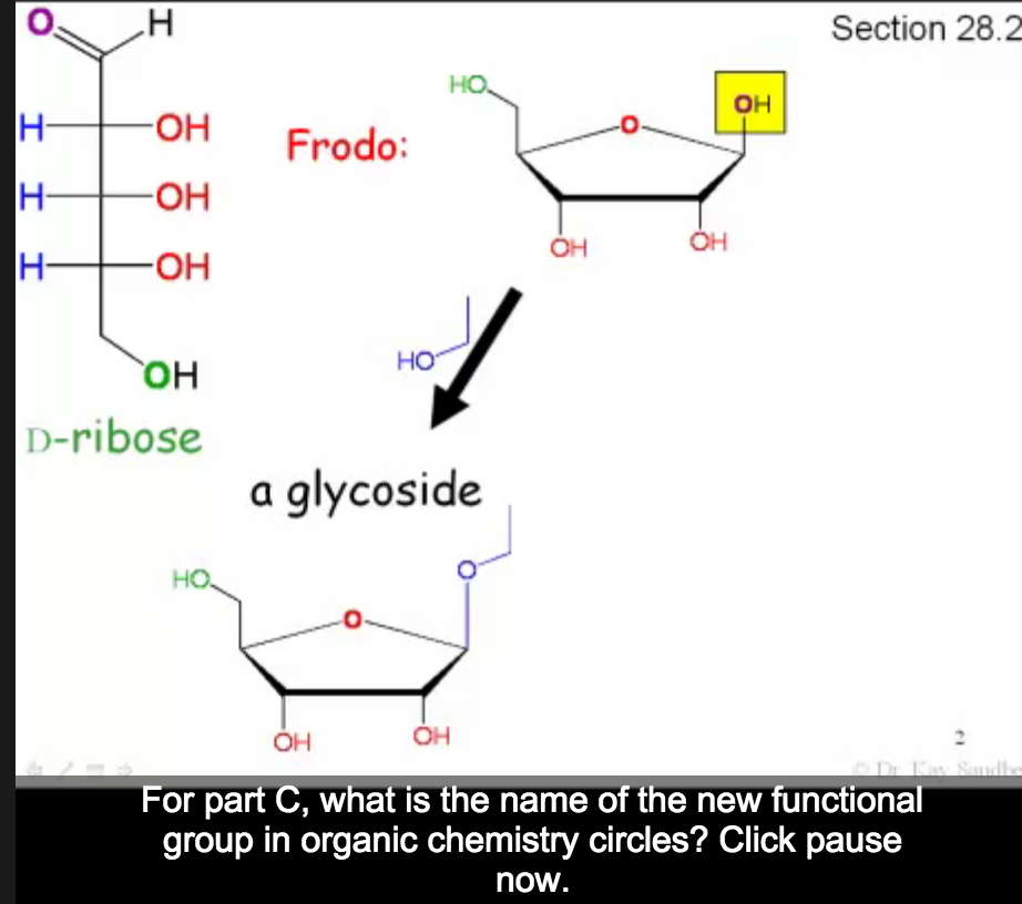 Solved Part B: Select the functional group the cyclic sugar | Chegg.com