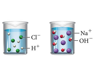 Solved These two beakers represent solutions of HCl and | Chegg.com