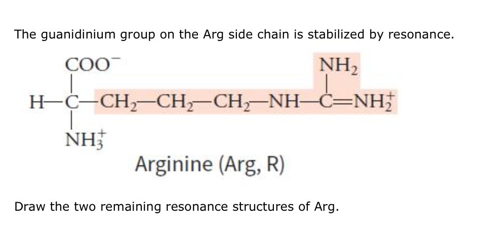 Solved The guanidinium group on the Arg side chain is | Chegg.com