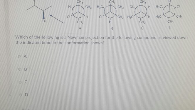 Solved Which of the following is a Newman projection for | Chegg.com