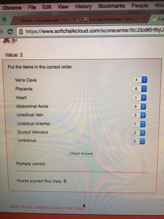 Solved Put the items in the correct order. Vena Cava | Chegg.com