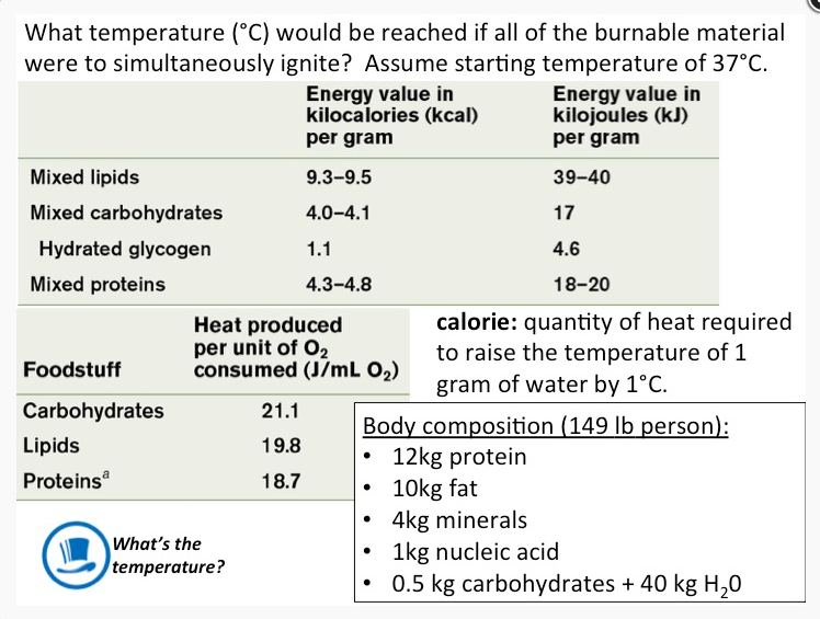 Solved What temperature (OC) would be reached if all of the | Chegg.com