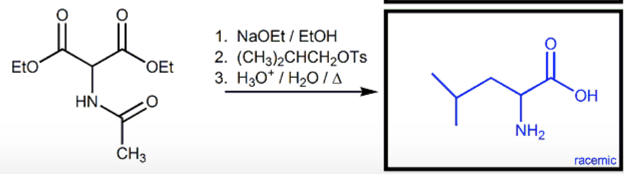 Solved 1. NaOEt EtOH EtO OEt 2. (CH3)2CHCH2OTs OH HN NH2 CH3 | Chegg.com