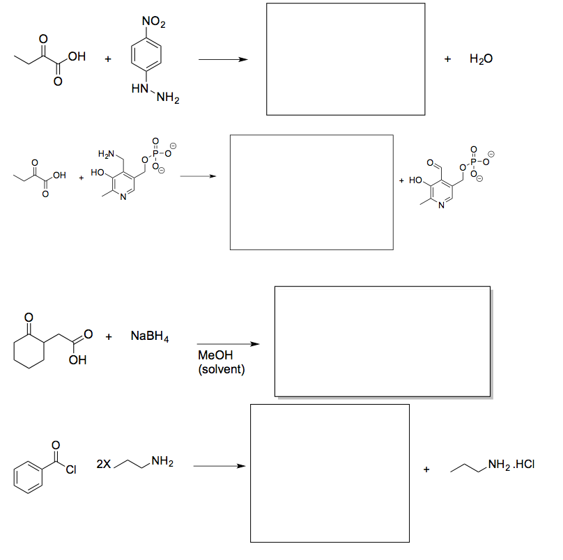 Solved HoN HO OH OH 2X NO HN NH P -O NaBH NH MeOH (solvent) | Chegg.com