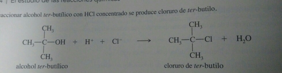 Solved accionar alcohol ter-butdlico con HCl concentrado se | Chegg.com