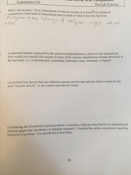 Solved L Experiment 10 Pre Lab Exercise What Is An Enzyme