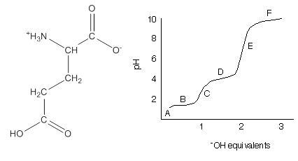 Glutamate Titration Curve