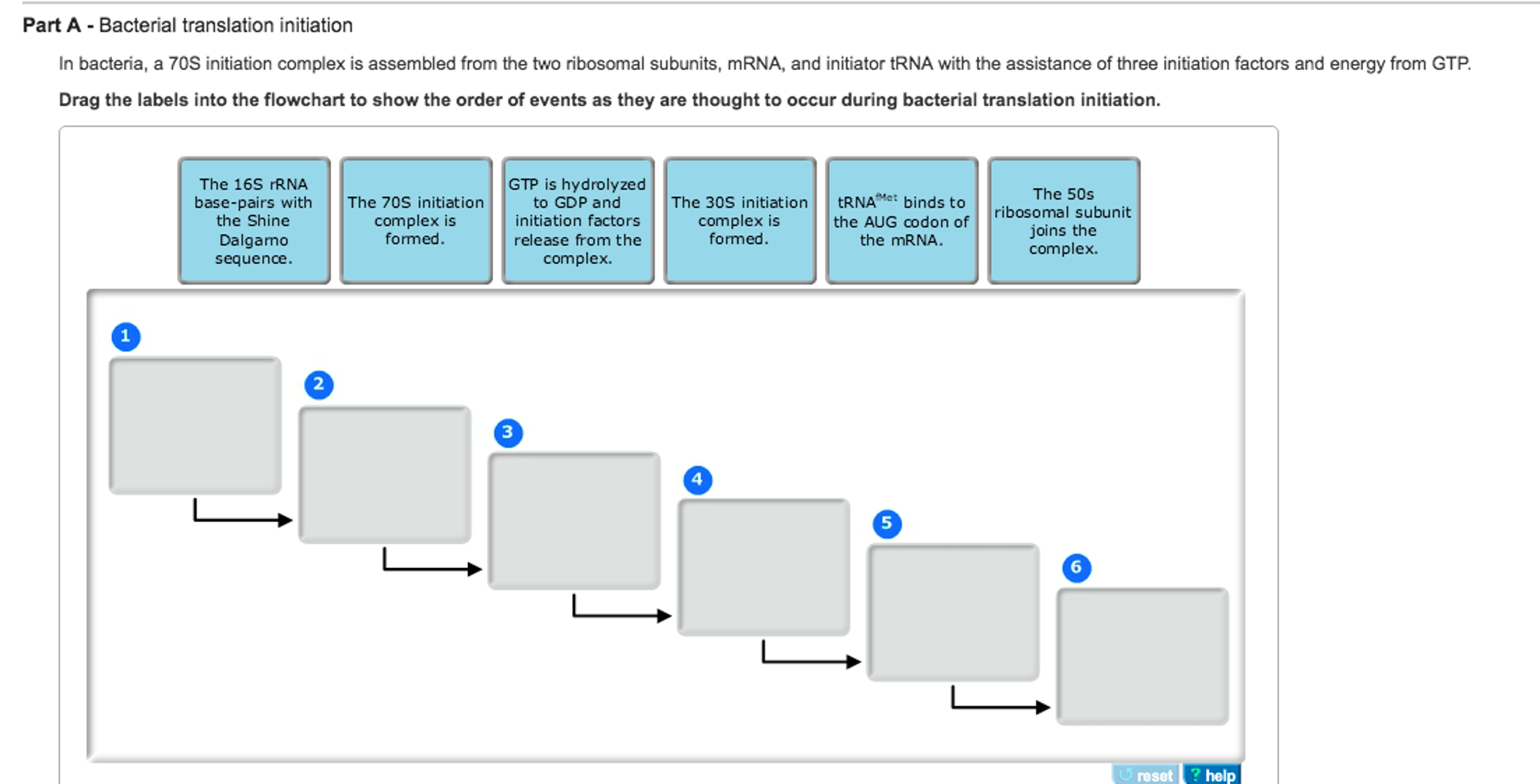 Solved Bacterial translation initiation In bacteria, a 70S | Chegg.com