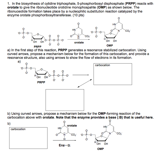 Solved In the biosynthesis of cytidine triphosphate, | Chegg.com