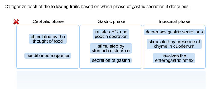 Solved Categorize each of the following traits based on | Chegg.com