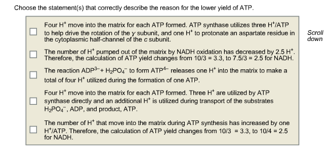 Solved The ATP yields calculated above do not consider other | Chegg.com