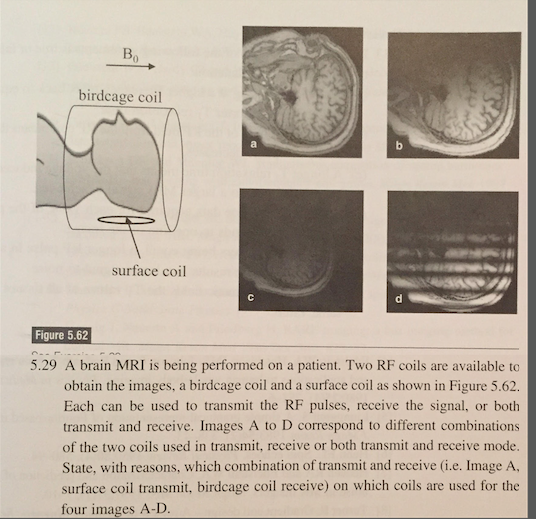 A brain MRI is being performed on a patient. Two RF | Chegg.com