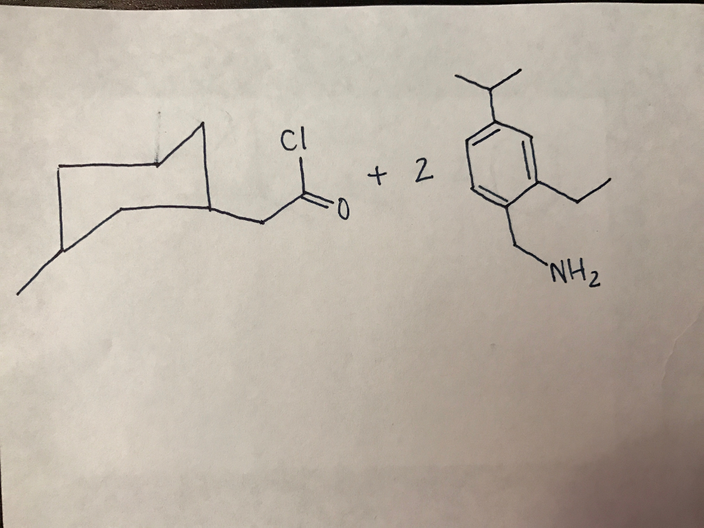Solved Cl t 2. NH2 | Chegg.com