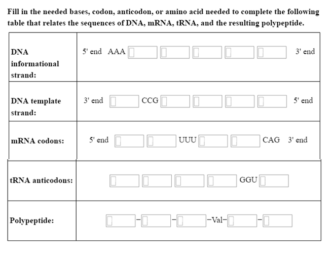 Solved Fill in the needed bases, codon, anticodon, or amino | Chegg.com
