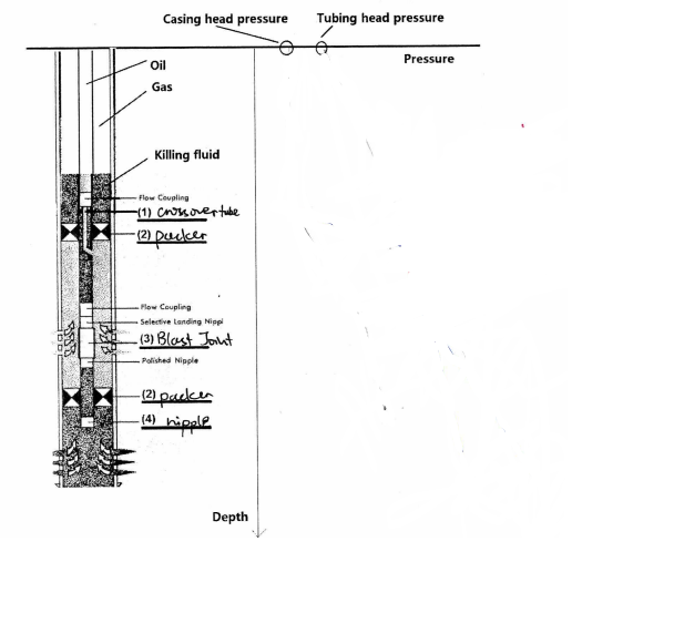 Draw the tubing pressure and casing pressure profiles | Chegg.com