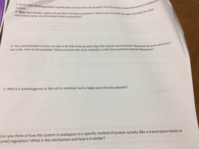 Solved Some actin binding proteins significantly increase | Chegg.com