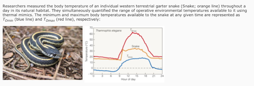 Solved Researchers measured the body temperature of an | Chegg.com