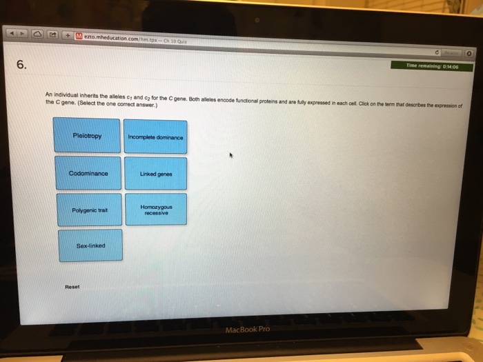 Solved An individual inherits the alleles c_1 and c_2 for | Chegg.com