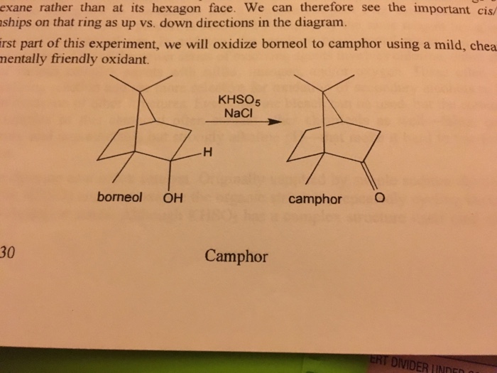 a)What is the limiting reagent for borneol to camphor | Chegg.com
