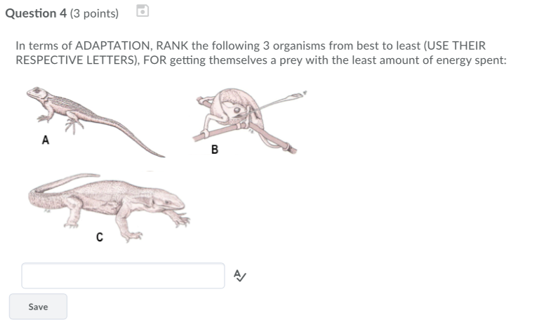 Solved Question 4 (3 points) In terms of ADAPTATION, RANK | Chegg.com
