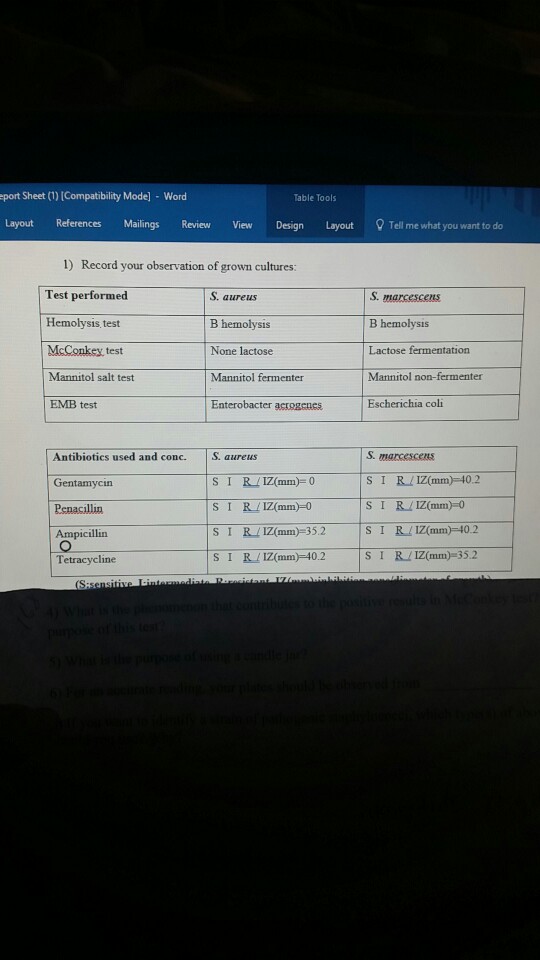 Solved Table Tool Layout References Mailings Review view | Chegg.com