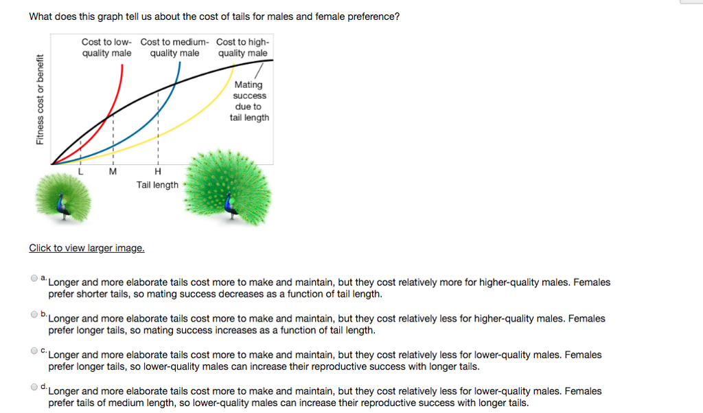 Solved What does this graph tell us about the cost of tails | Chegg.com
