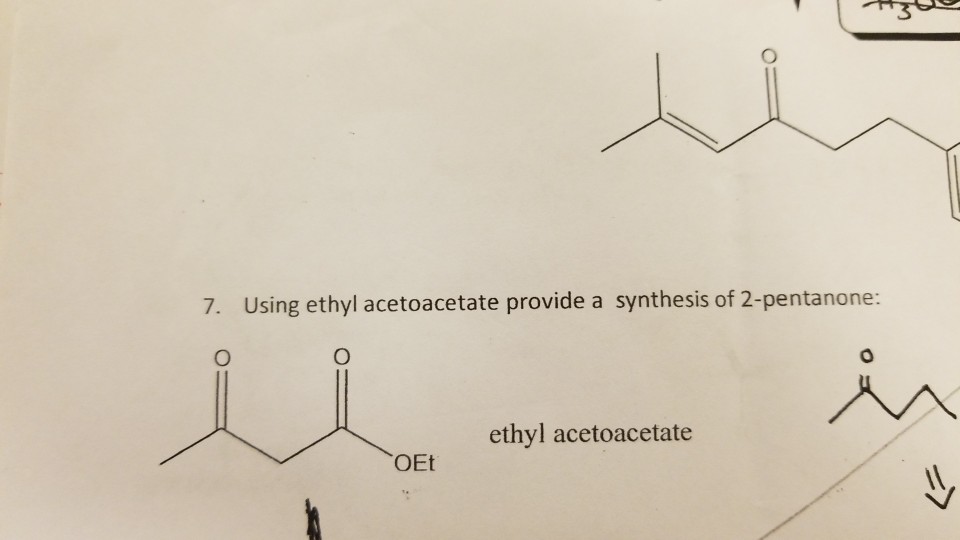 Solved 7. Using ethyl acetoacetate provide a synthesis of | Chegg.com