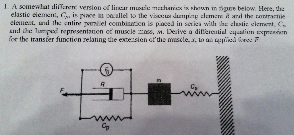 Solved 1. A somewhat different version of linear muscle | Chegg.com