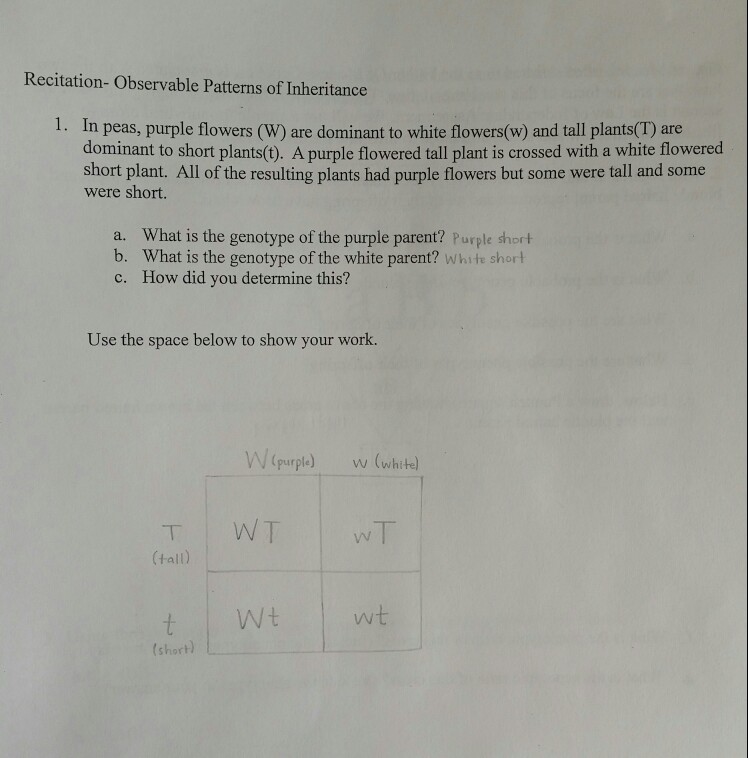 Solved Recitation- Observable Patterns of Inheritance 1. In | Chegg.com
