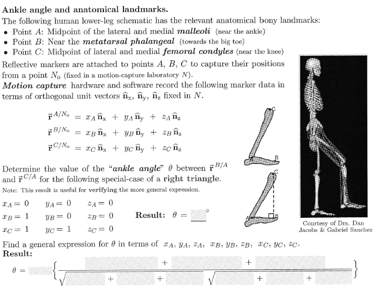 Solved The following human lower-leg schematic has the | Chegg.com