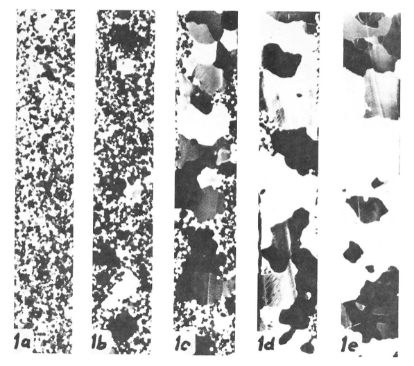 Solved These are microstructures of pure Aluminum taken over | Chegg.com