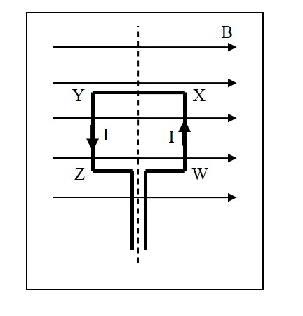 Solved Consider the loop of wire WXYZ in the diagram | Chegg.com