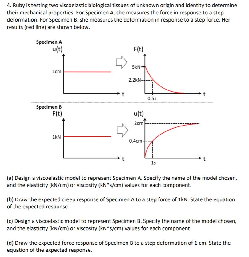 Solved 4 Ruby Is Testing Two Viscoelastic Biological