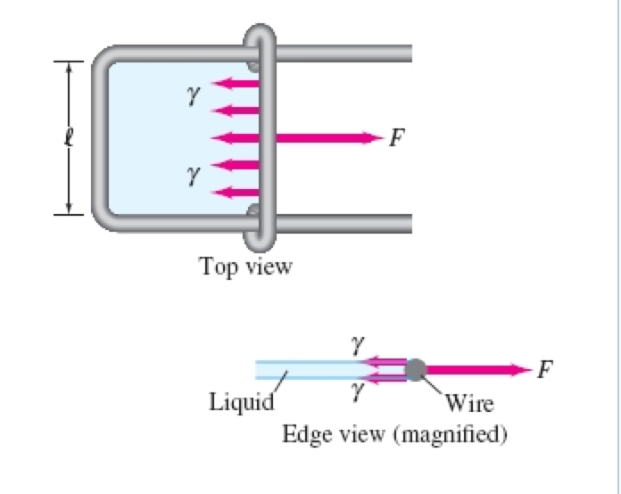 Solved 1. Calculate the force needed to move the wire in the | Chegg.com