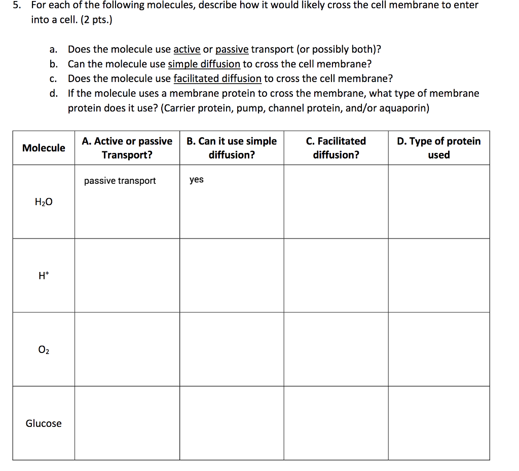 Active And Passive Transport Chart