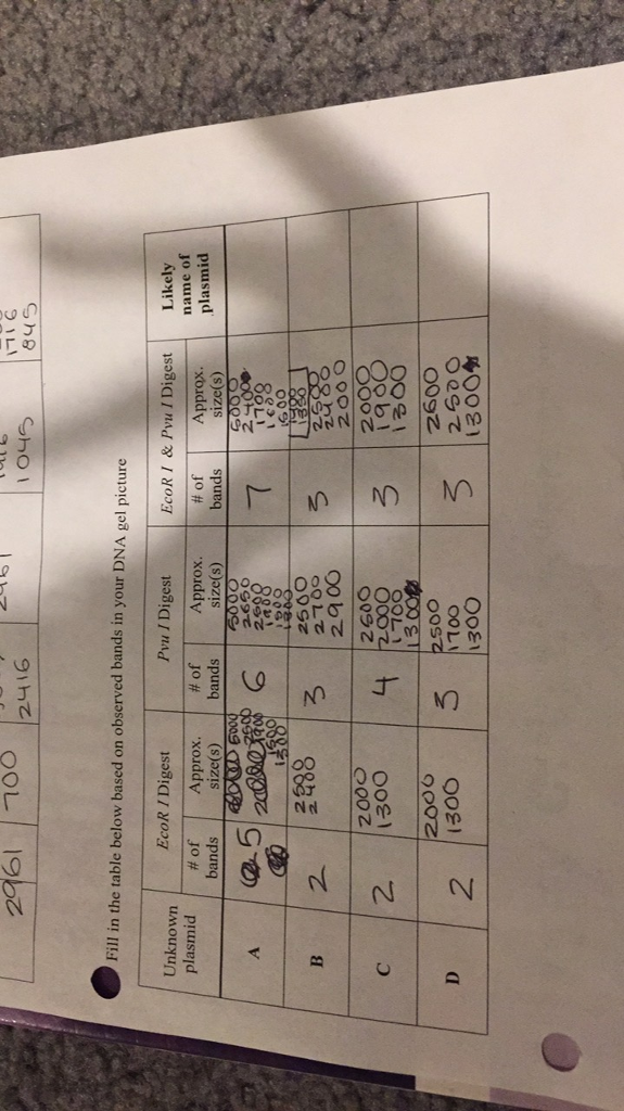 2416 | 04ら 849 Fill in the table below based on | Chegg.com