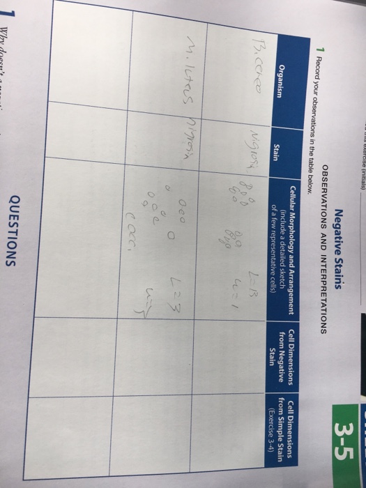 Solved Does anyone have an approximate answer or know not to | Chegg.com