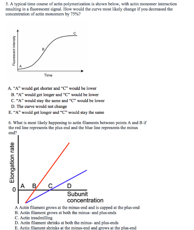 Solved 5 A Typical Time Course Of Actin Polymerization Is