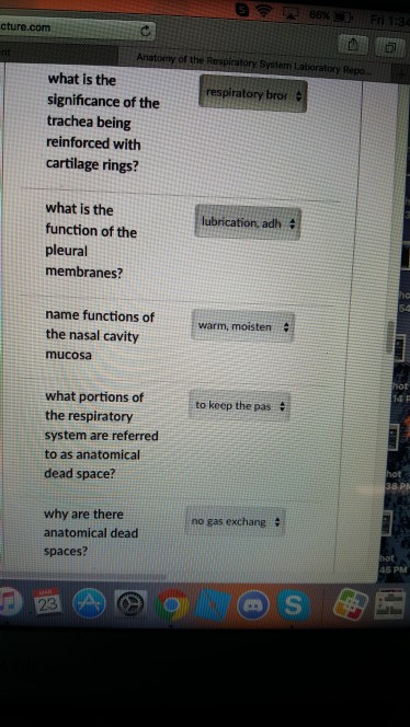 Solved 66% cture.com of the tory System Lat what is the | Chegg.com