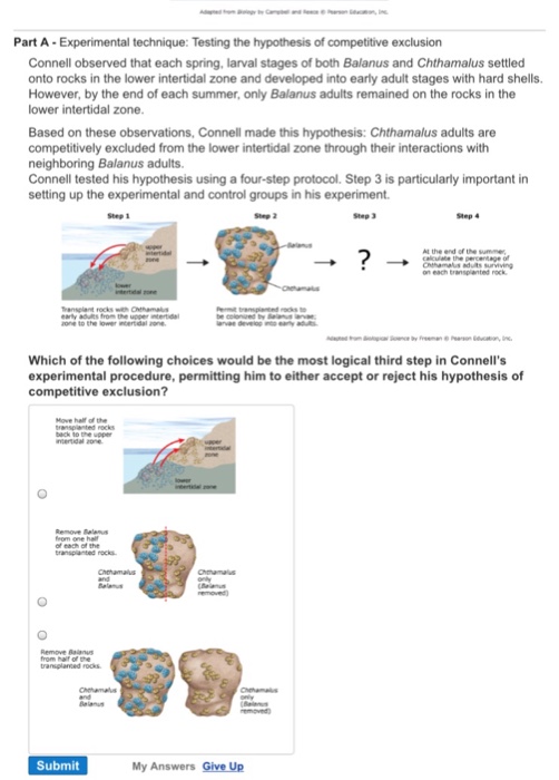 Solved Experimental Inquiry Can A Species Niche Be Chegg