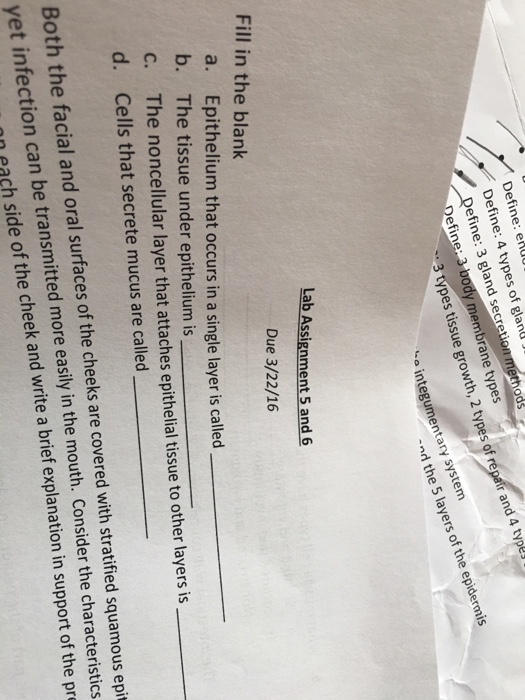 Solved Epithelium that occurs in a single layer is called | Chegg.com