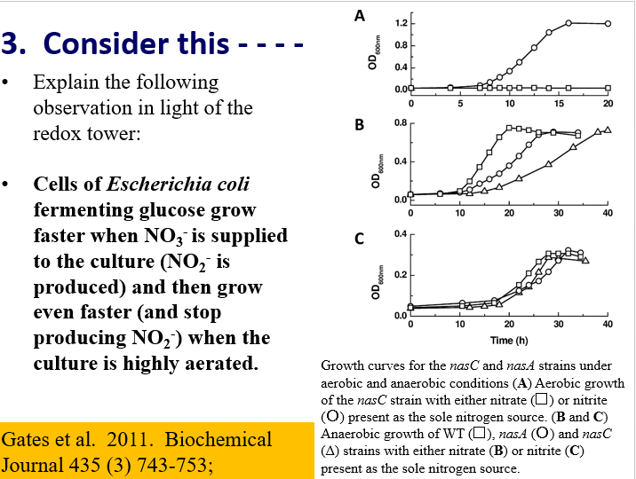 Solved Consider this Explain the following observation in | Chegg.com