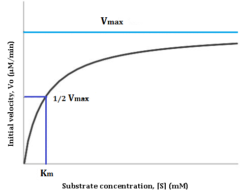 Effect of Substrate Concentration on Enzyme Kinetics. | Chegg.com
