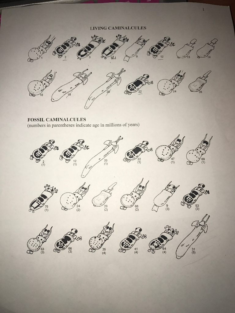 Solved I need serious help with the practice problem below! | Chegg.com